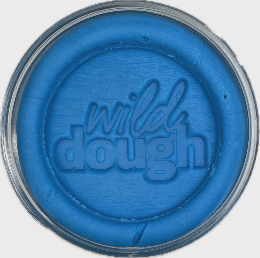 Pacific Blue Playdough - Wild Dough – Wanderluxe Lane