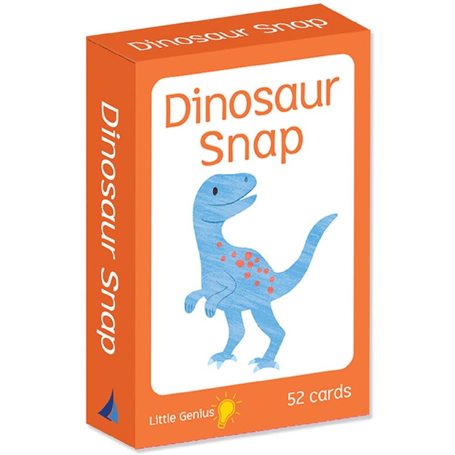 Dinosaur Snap Flashcards – Wanderluxe Lane